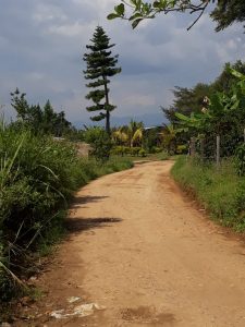 Acevedo | Red Huila. Negocios, Turismo, Gastronomía y algo más...